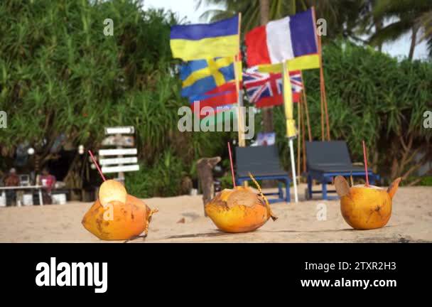 Golden coconuts on the beach on a background of flags of different ...
