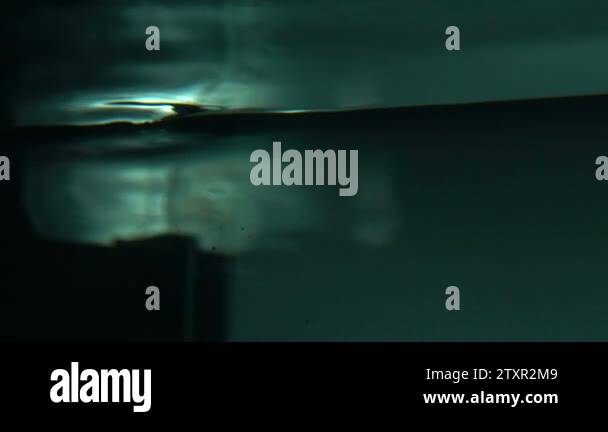 Secret swimming pool Stock Videos & Footage - HD and 4K Video Clips - Alamy