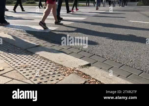 Pedestrian legs cross over road by zebra crossing at peak hour in city ...