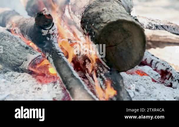 Video fire burning Stock Videos & Footage - HD and 4K Video Clips - Alamy