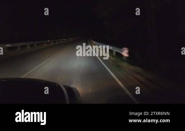 Night road, highway through tunnel of trees in forest, light of car ...