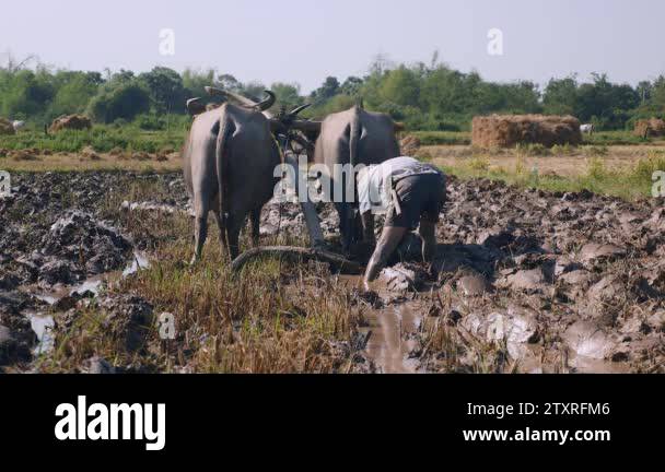 Ploughing mud Stock Videos & Footage - HD and 4K Video Clips - Alamy