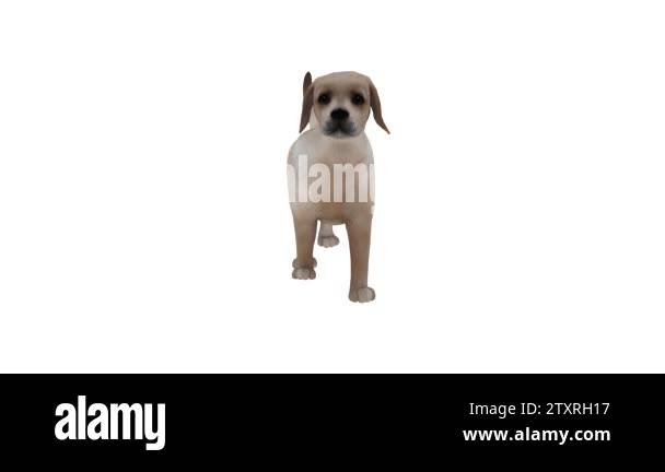 3d animated dog Stock Videos & Footage - HD and 4K Video Clips - Alamy