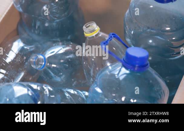 Separating Plastic Bottles for Recycling in carton Box. Waste ...