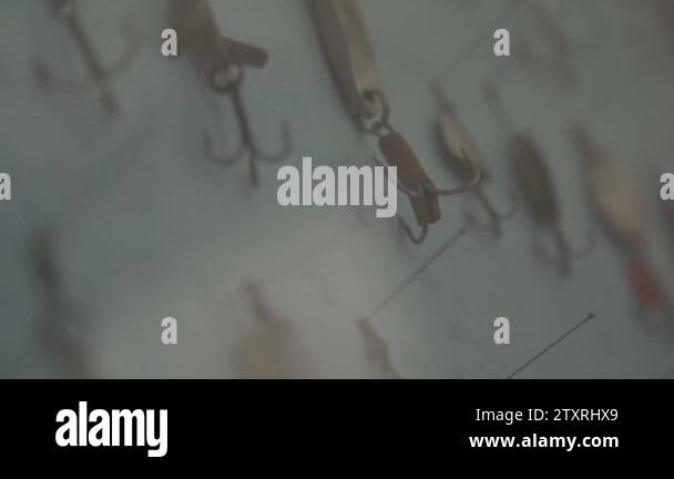 Very old fish Stock Videos & Footage - HD and 4K Video Clips - Alamy