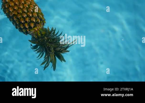 Pineapple Floating In blue Water In Swimming Pool. Healthy Raw Organic ...