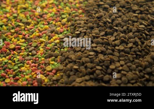 Fish granules Stock Videos & Footage - HD and 4K Video Clips - Alamy