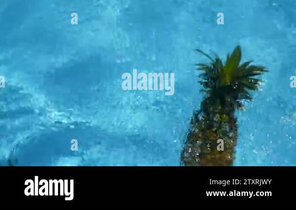 Pineapple Floating In blue Water In Swimming Pool. Healthy Raw Organic ...