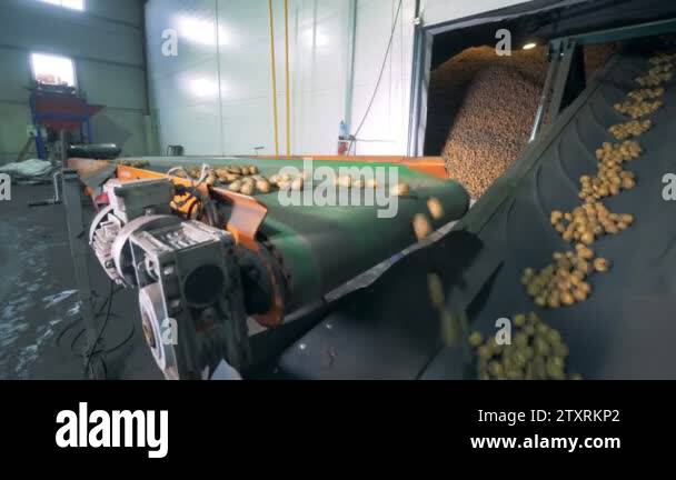 Potato factory Stock Videos & Footage - HD and 4K Video Clips - Alamy