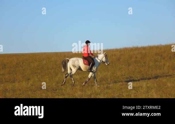 Girl riding a horse galloping across the field. Slow motion Stock Video ...