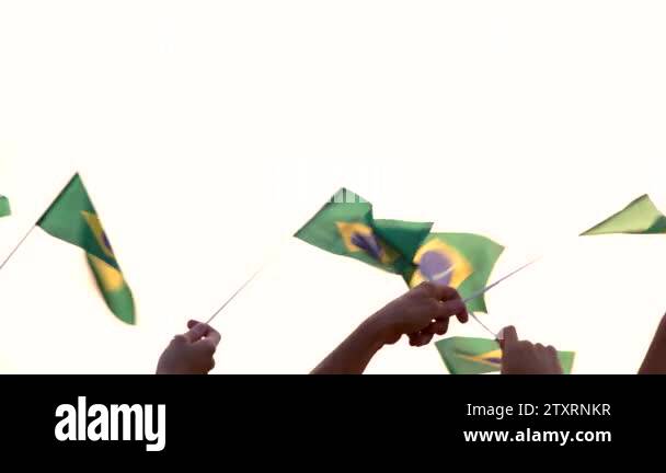 Back view people raising Brazilian flags Stock Video Footage - Alamy