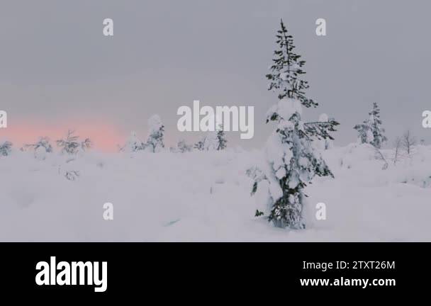 Finnish lapland lot snow Stock Videos & Footage - HD and 4K Video Clips ...