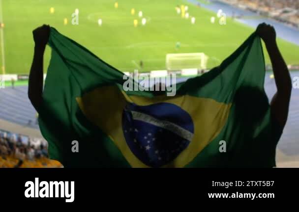 Soccer fans with Brazilian flag jumping in stands, cheering for ...