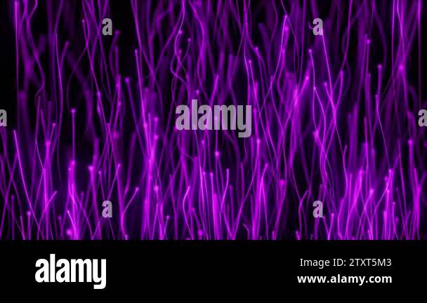 Seamless loop 3d animation of purple abstract radial lines geometric background. Data flow ...