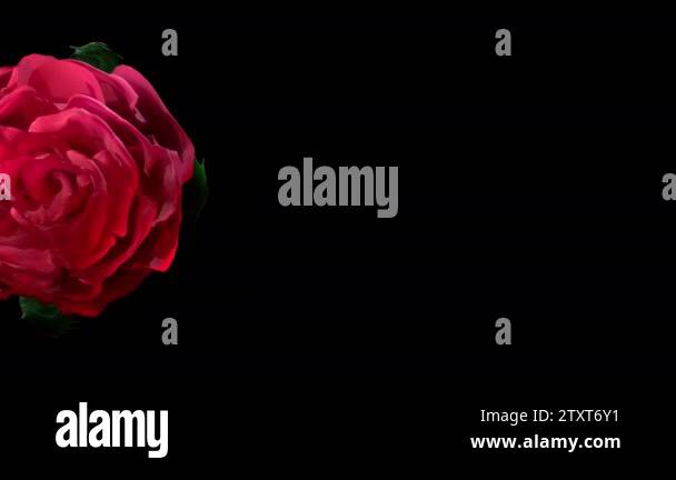 Top half of face Stock Videos & Footage - HD and 4K Video Clips - Alamy