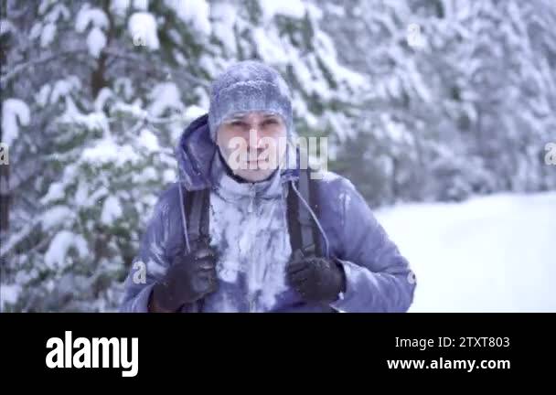 Polar stern Stock Videos & Footage - HD and 4K Video Clips - Alamy
