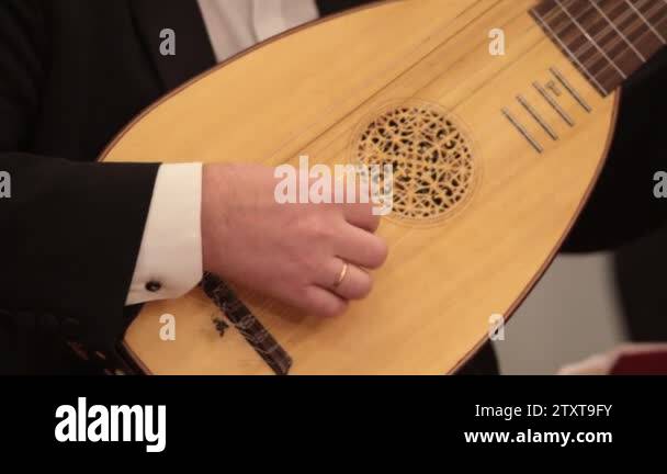 Man with a lute Stock Videos & Footage - HD and 4K Video Clips - Alamy