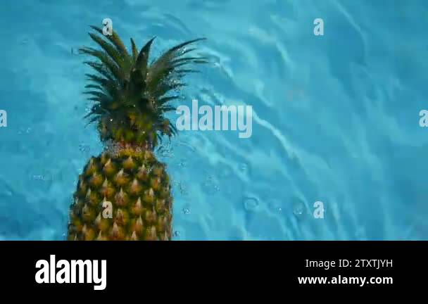 Pineapple Floating In blue Water In Swimming Pool. Healthy Raw Organic ...