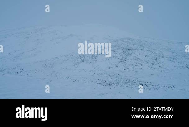 Arctic form Stock Videos & Footage - HD and 4K Video Clips - Alamy