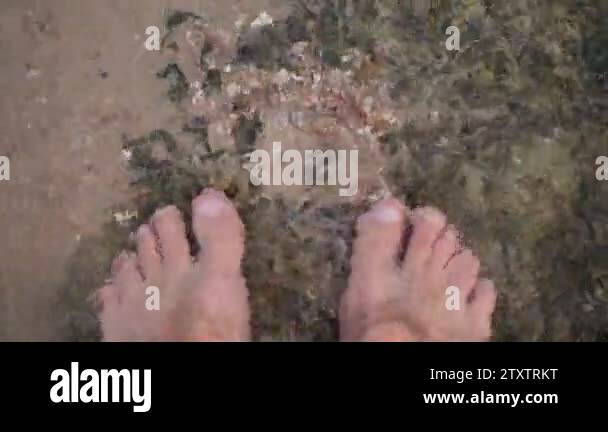 close-up, male feet in clear sea water standing on shallow sea pebbles ...