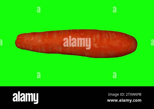 Realistic render of a rotating carrot on green background. The video is ...