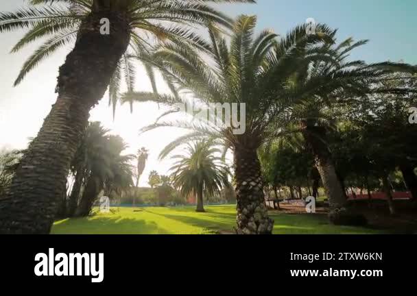 Alley texture Stock Videos & Footage - HD and 4K Video Clips - Alamy