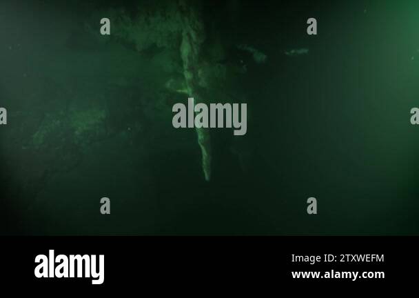 Cave diving in muddy water of halocline in cenotes in Mexico Stock ...