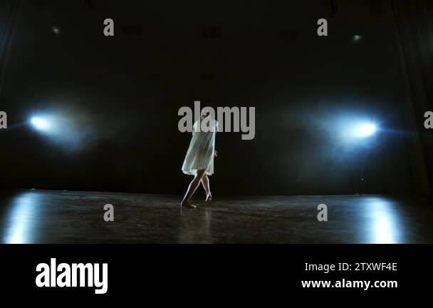 Dynamic scenes from the musical solo performance of a modern ballerina ...