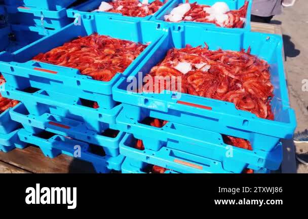 Catch containers Stock Videos & Footage - HD and 4K Video Clips - Alamy