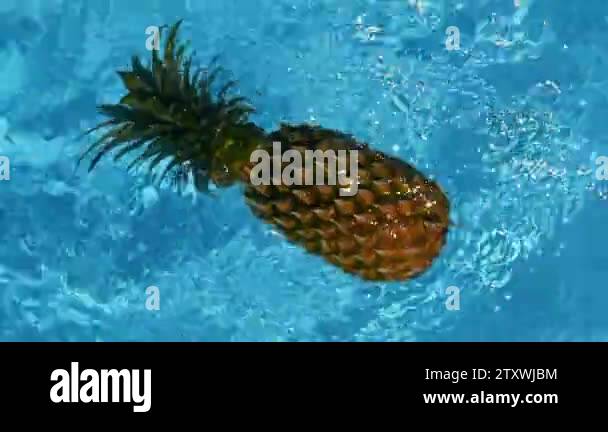 Pineapple Floating In blue Water In Swimming Pool. Healthy Raw Organic ...