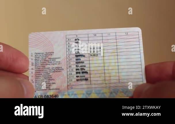 The hand holds the drivers license. Categories of driving licenses ...