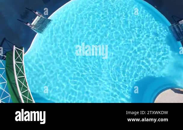 Top view of a condo swimming pool with two empty white deckchairs ...