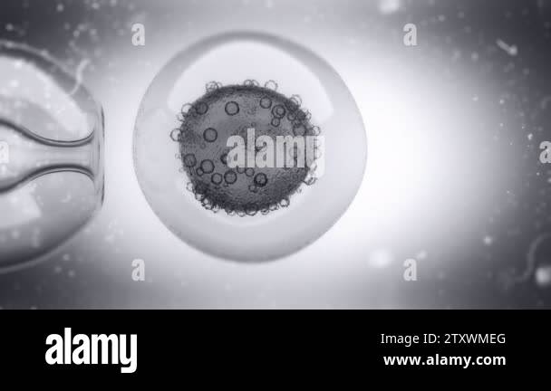 3D Animation of a DNA filled liquid being injected into an egg cell ...