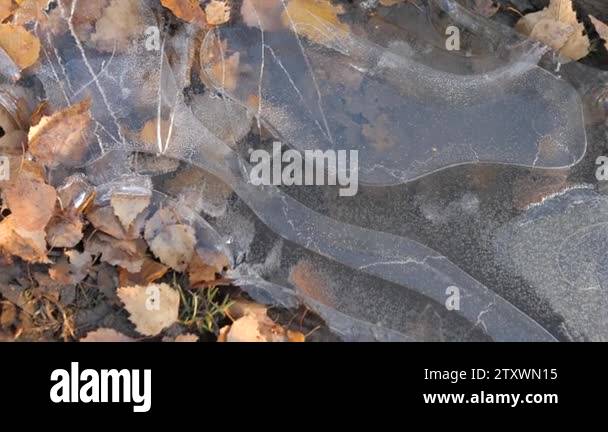 Thin layer of ice Stock Videos & Footage - HD and 4K Video Clips - Alamy