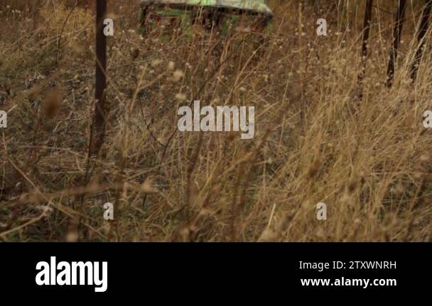 Forgotten countryside Stock Videos & Footage - HD and 4K Video Clips ...