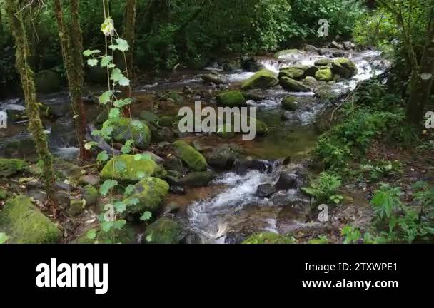 Sources of water Stock Videos & Footage - HD and 4K Video Clips - Alamy