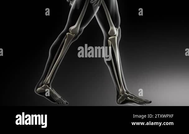 Bottom parts Stock Videos & Footage - HD and 4K Video Clips - Alamy