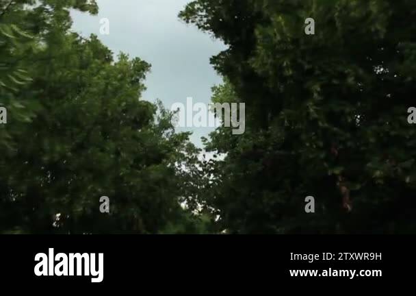 Animal underpass Stock Videos & Footage - HD and 4K Video Clips - Alamy