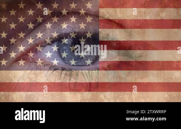 Composite eye Stock Videos & Footage - HD and 4K Video Clips - Alamy