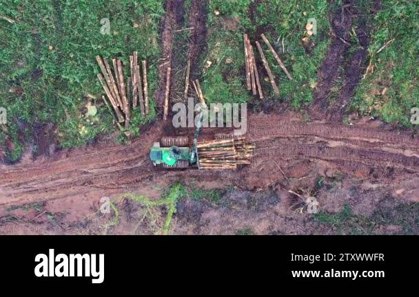 Rainforest logging machine Stock Videos & Footage - HD and 4K Video ...