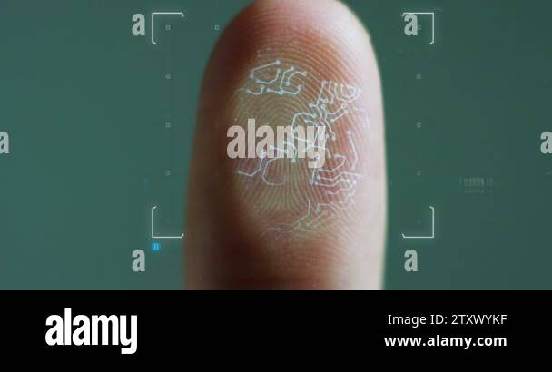 futuristic digital processing of biometric fingerprint scanner. concept ... futuristic digital processing of biometric fingerprint scanner. concept ...