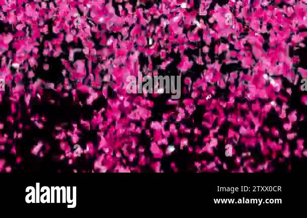 Party explosion confetti on black background. 4k 3d render animation of ...