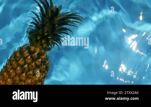 Pineapple Floating In blue Water In Swimming Pool. Healthy Raw Organic ...