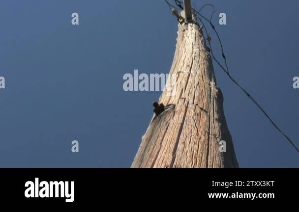 Telegraph Telephone Stock Videos And Footage Hd And 4k Video Clips Alamy