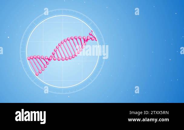Rotating pink DNA molecule. Located on the left. Futuristic view into ...