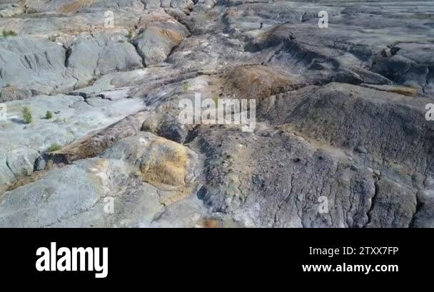 Restored ecosystem Stock Videos & Footage - HD and 4K Video Clips - Alamy