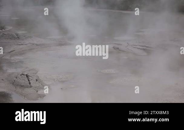 New zealand boiling mud Stock Videos & Footage - HD and 4K Video Clips ...