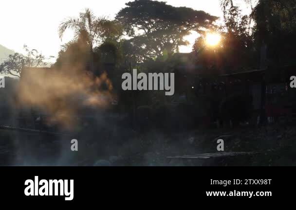 The beautiful views of trees and sunlight rising in the countryside in ...