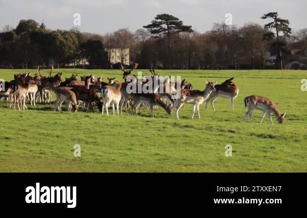 European Walled Cities