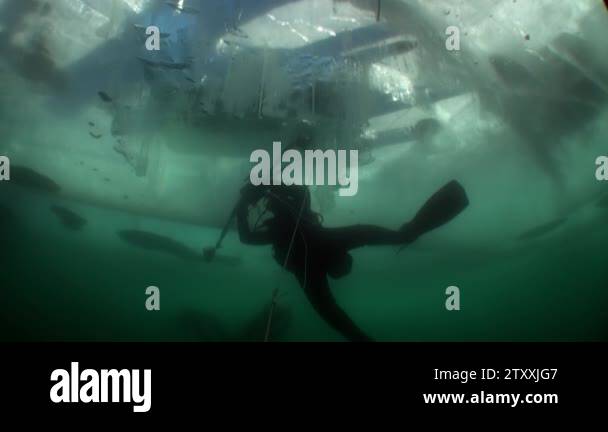 Diving under ice of cameraman underwater diver in cold water of lake ...